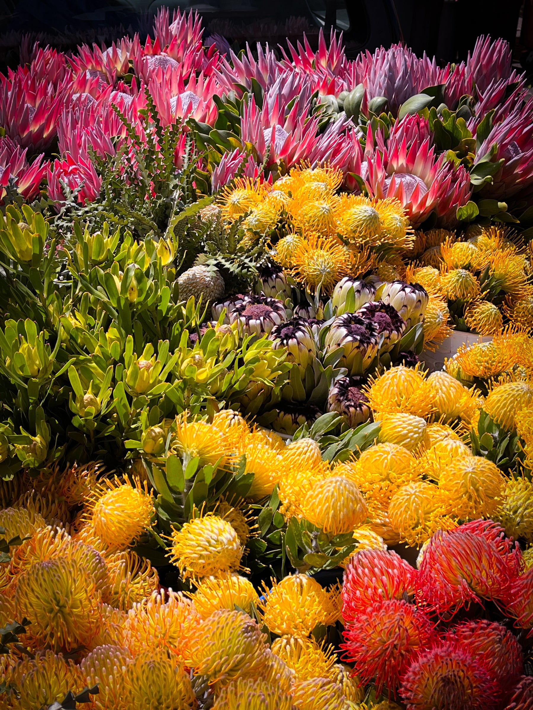 Tropical flowers from Hawaii – Maui Floral