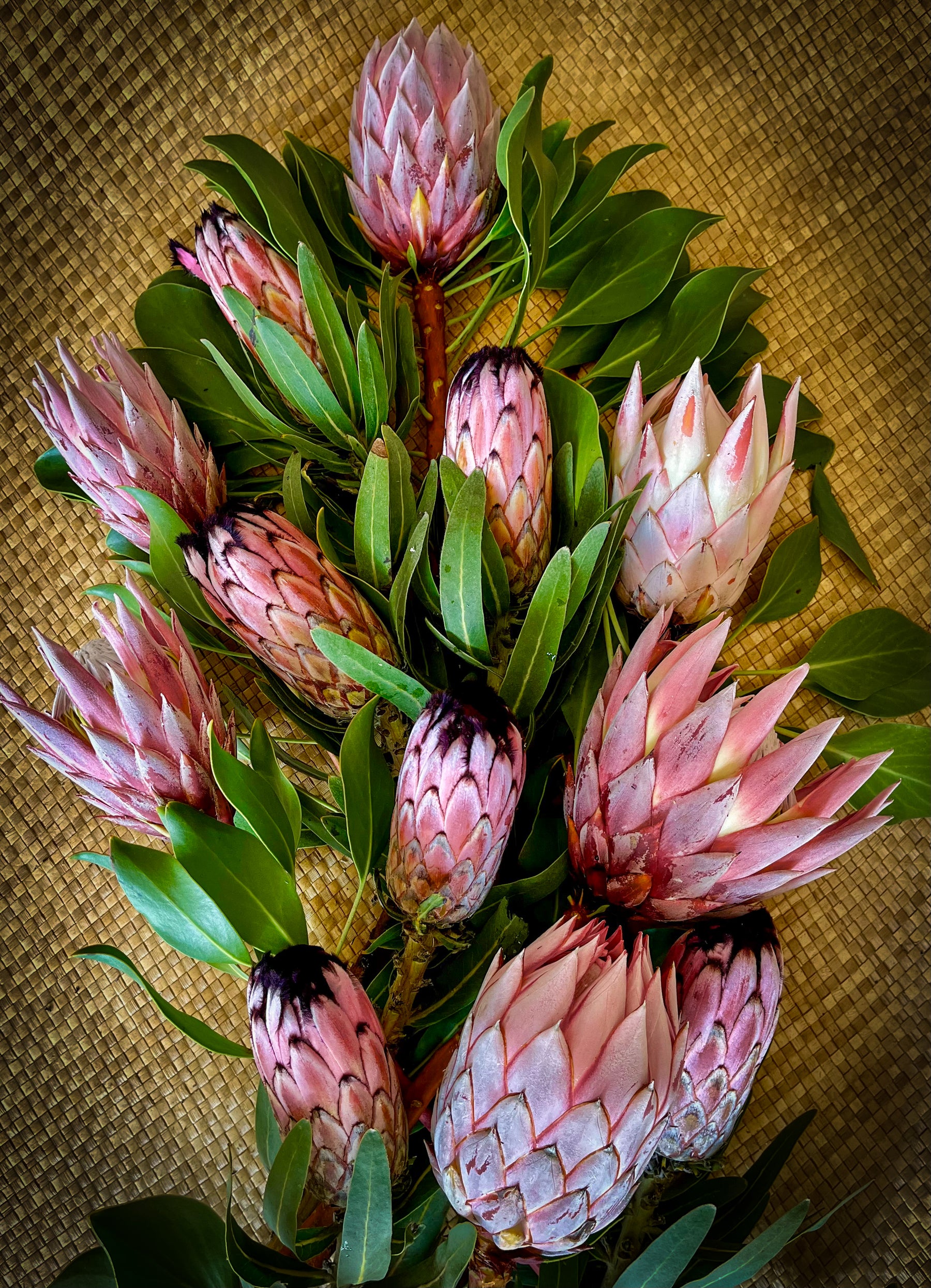 Tropical flowers from Hawaii – Maui Floral